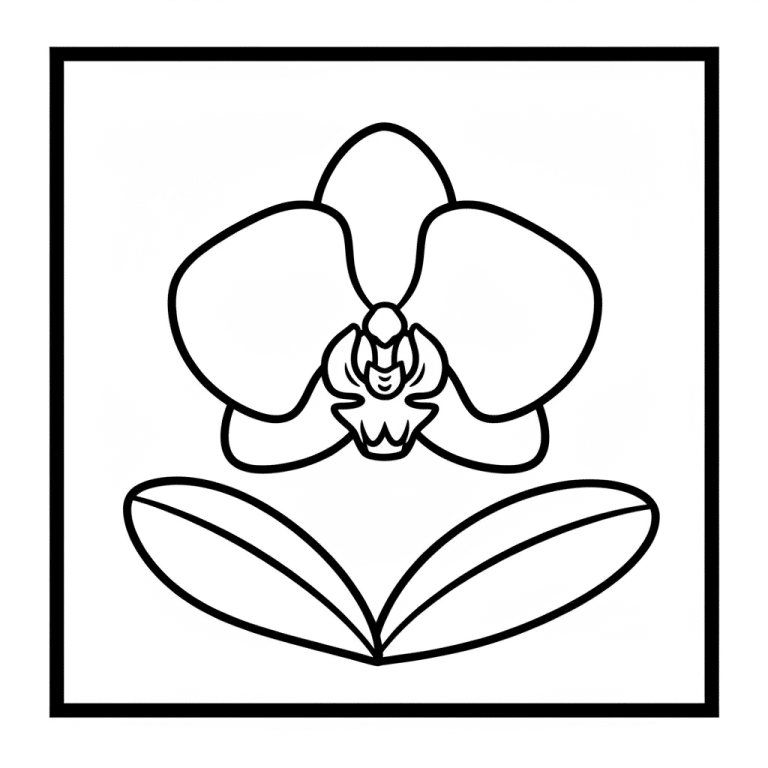 37 Orchid Coloring Page Ideas You’ll Love (Free PDF) - KidPrintables